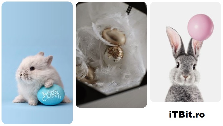 Poze de paste pentru telefoane 2022 – iTBit